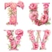 Watercolor Floral Letters Alphabet Clipart: Pink Peonies PNG Set ...