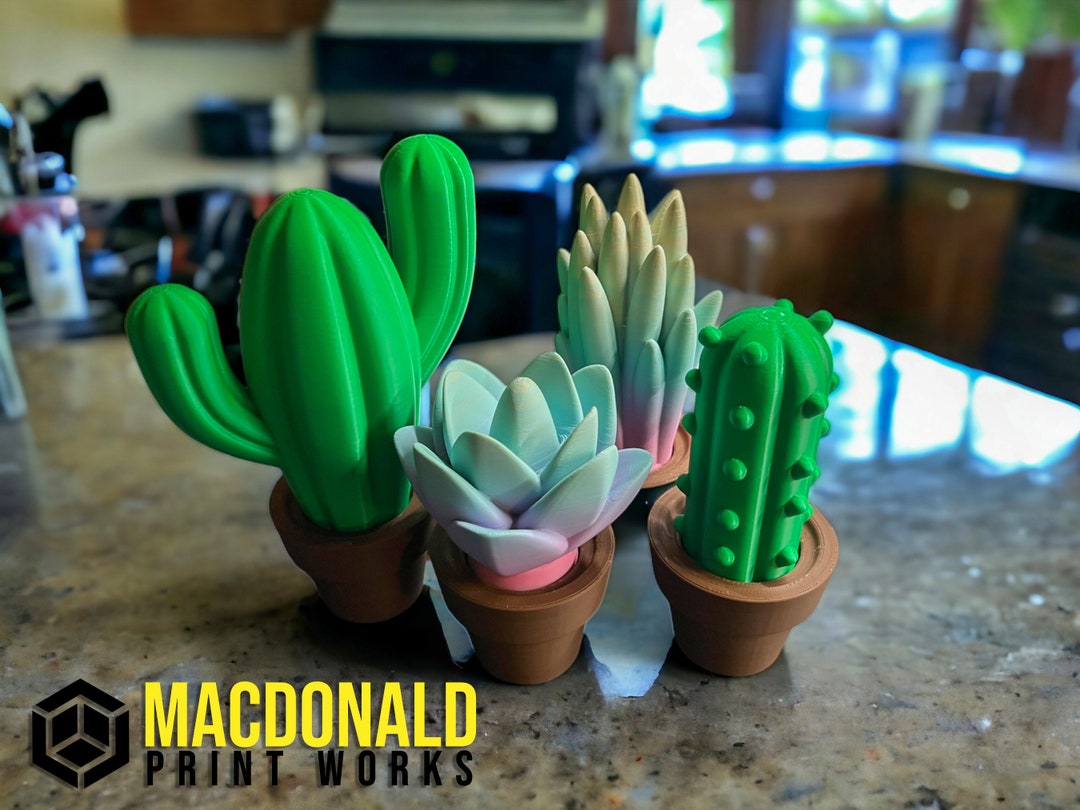 3D Printed Cactus and Succulent Garden: Unique Home Decor - Etsy