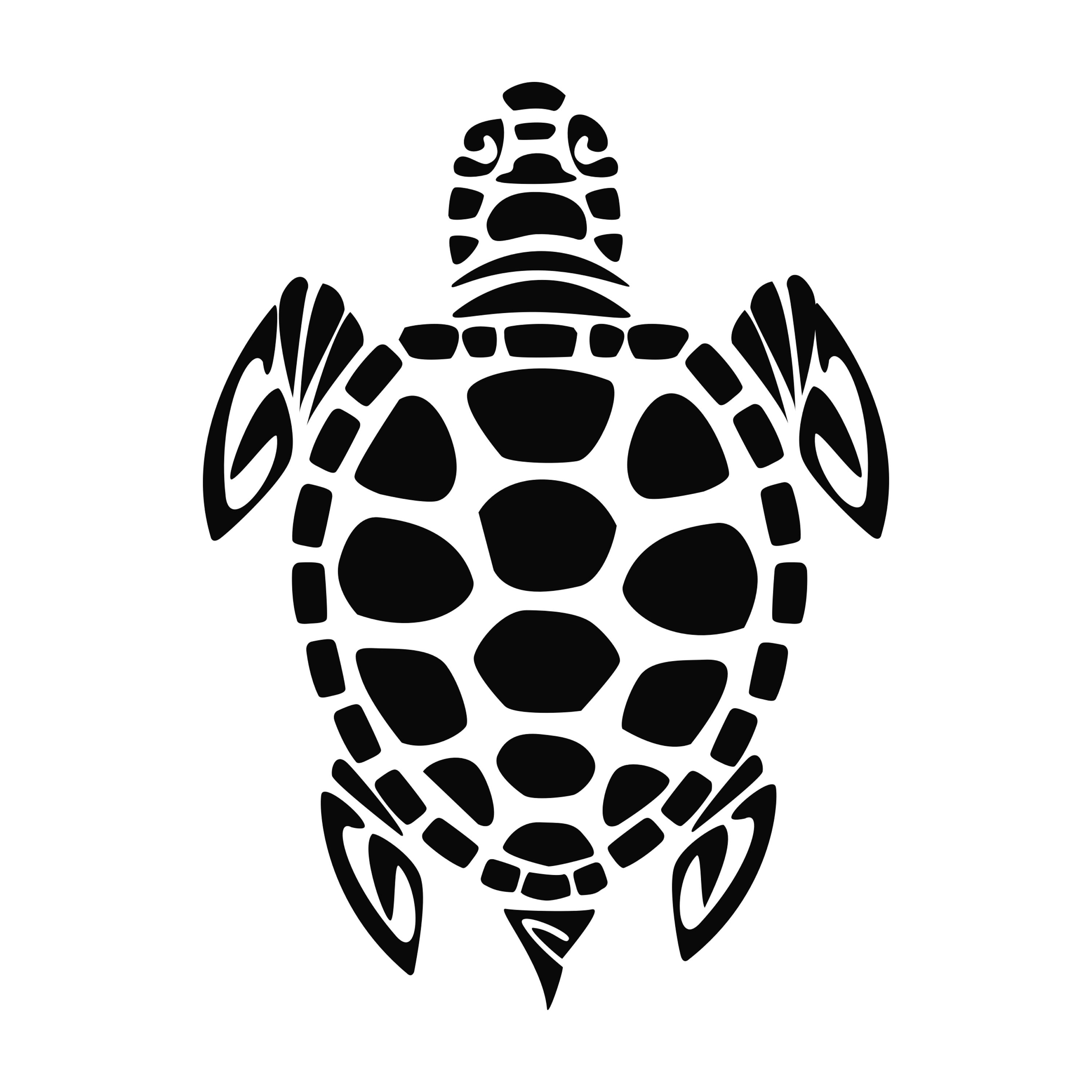 Sea Turtle SVG - Etsy