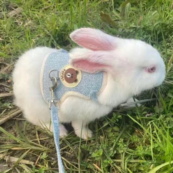 Rabbit Harness - Etsy