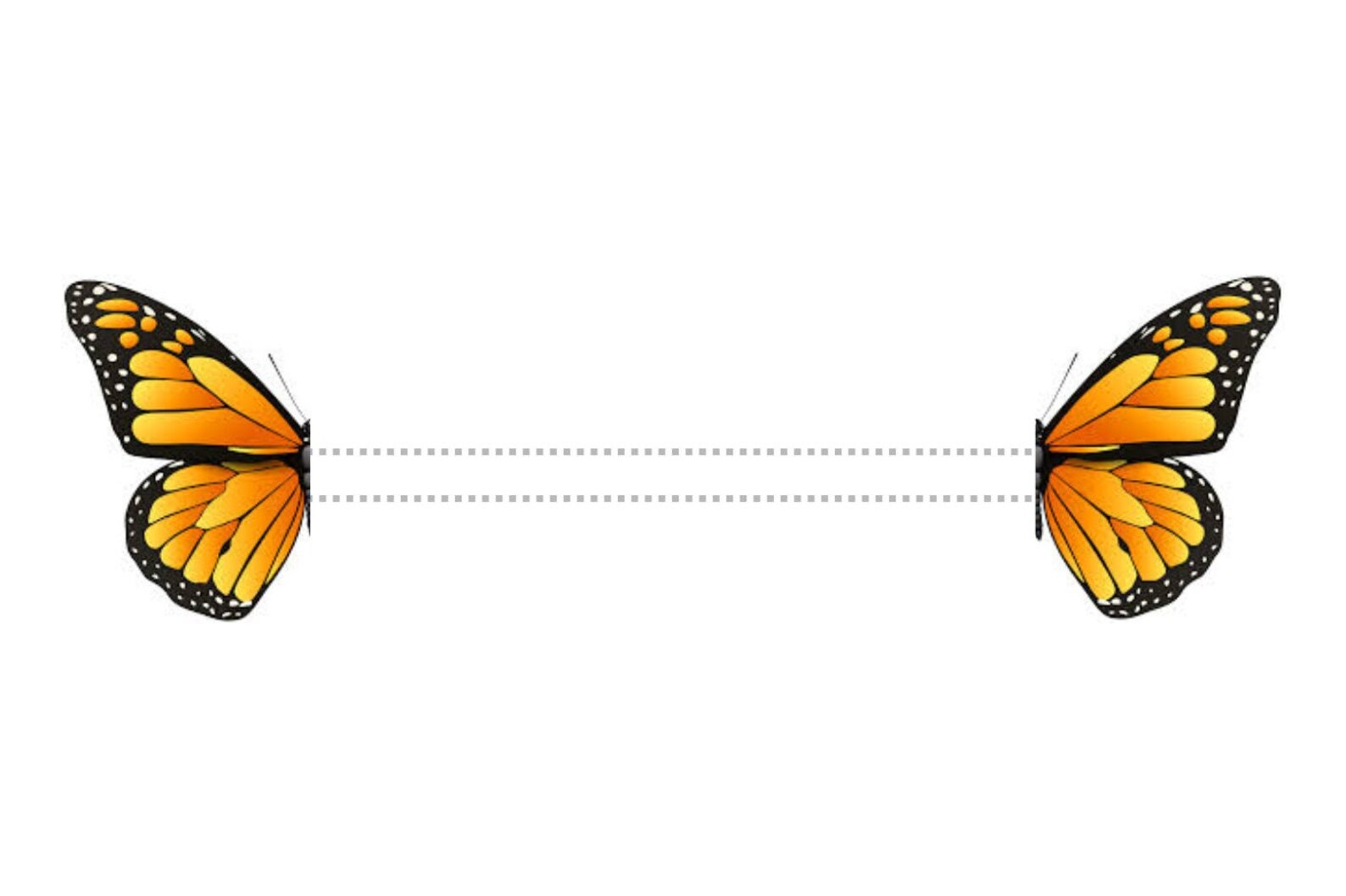 Printable Bookmarks Butterflies 3D Butterfly Bookmark Instant