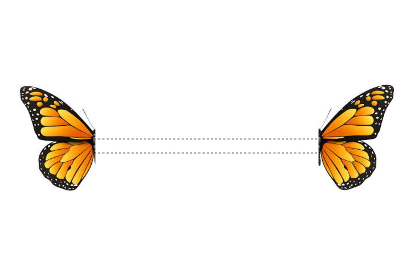Printable Bookmarks Butterflies 3D Butterfly Bookmark Etsy