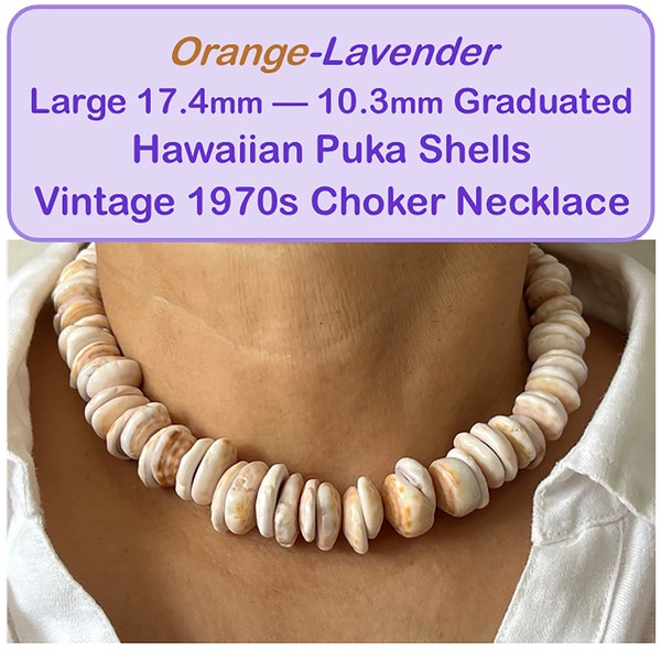 Shell Necklace - Etsy