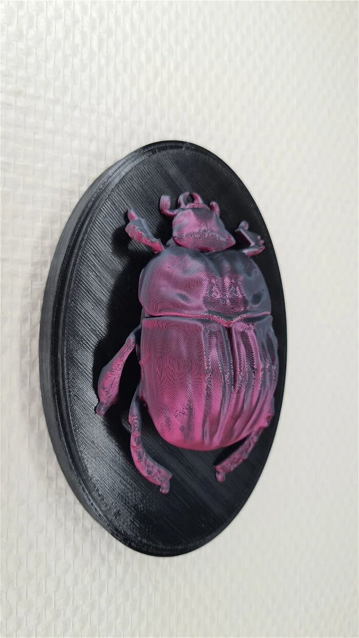 Scarab Beetle Wall Display Figure 2-pack - Etsy