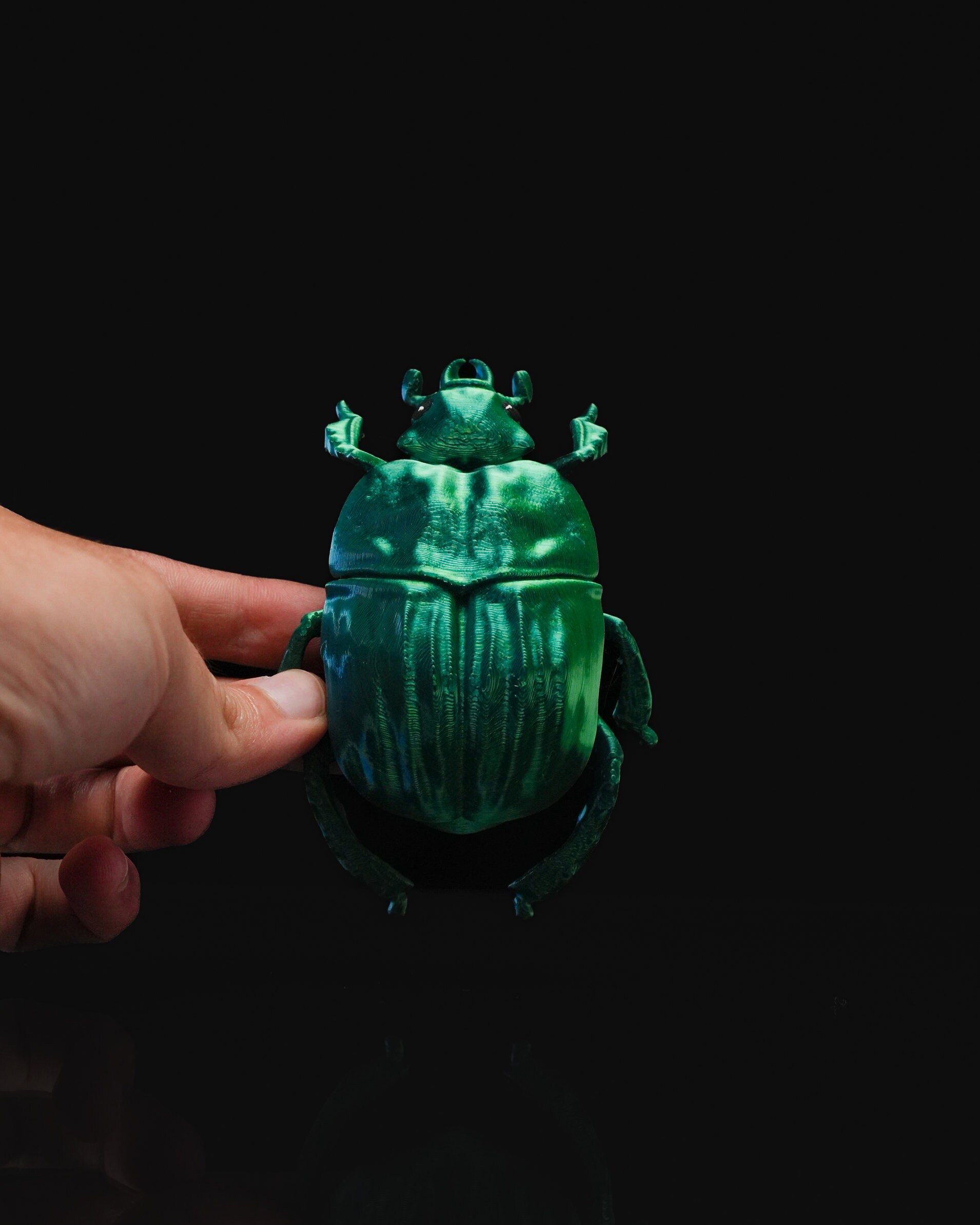 Scarab Beetle Wall Display Figure 2-pack - Etsy