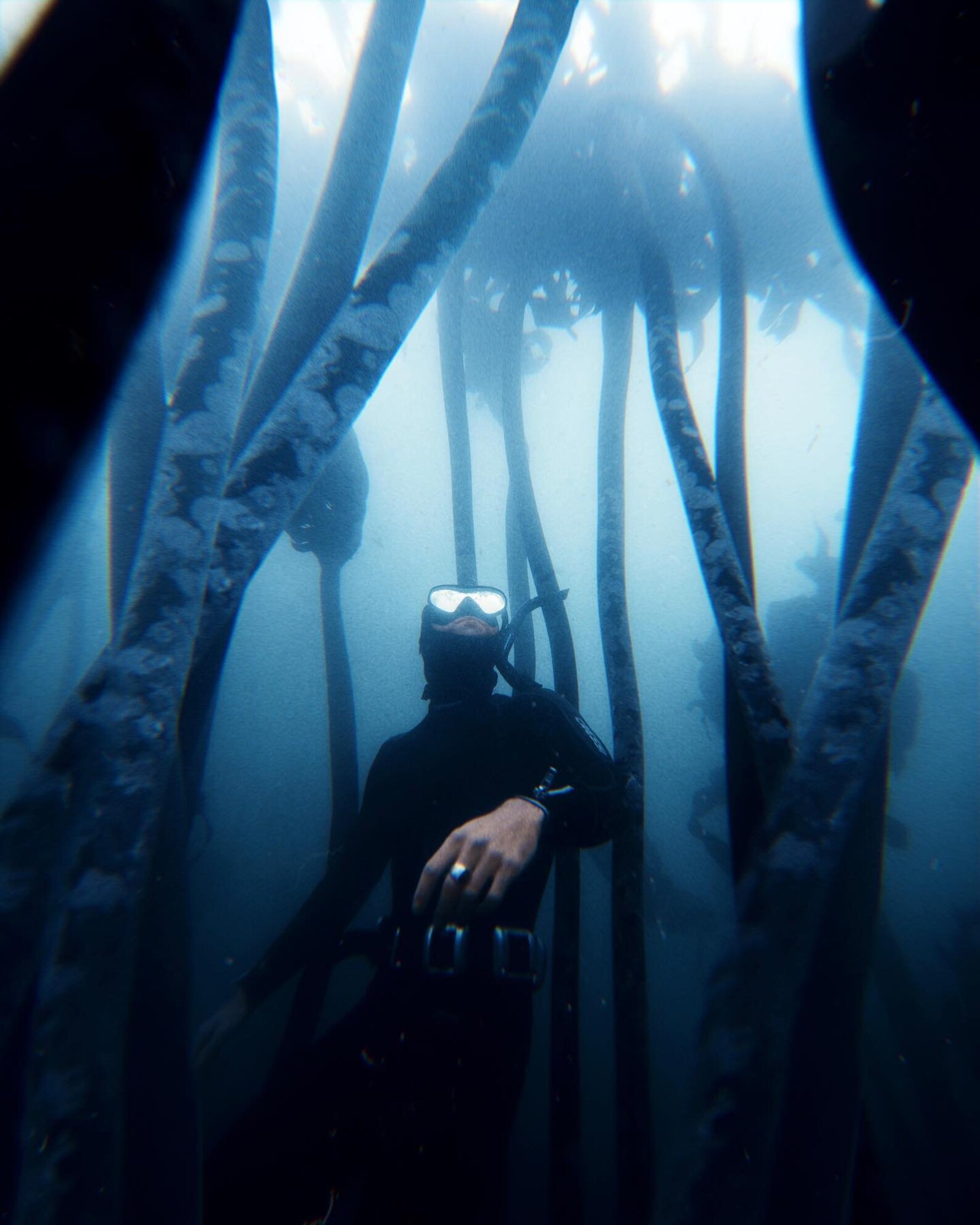 Sam Kolder Original Luts: Cinematic Color Grading (mobile & Desktop) - Etsy