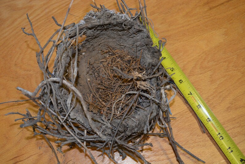EXTRA LARGE BIRD Nest - Etsy