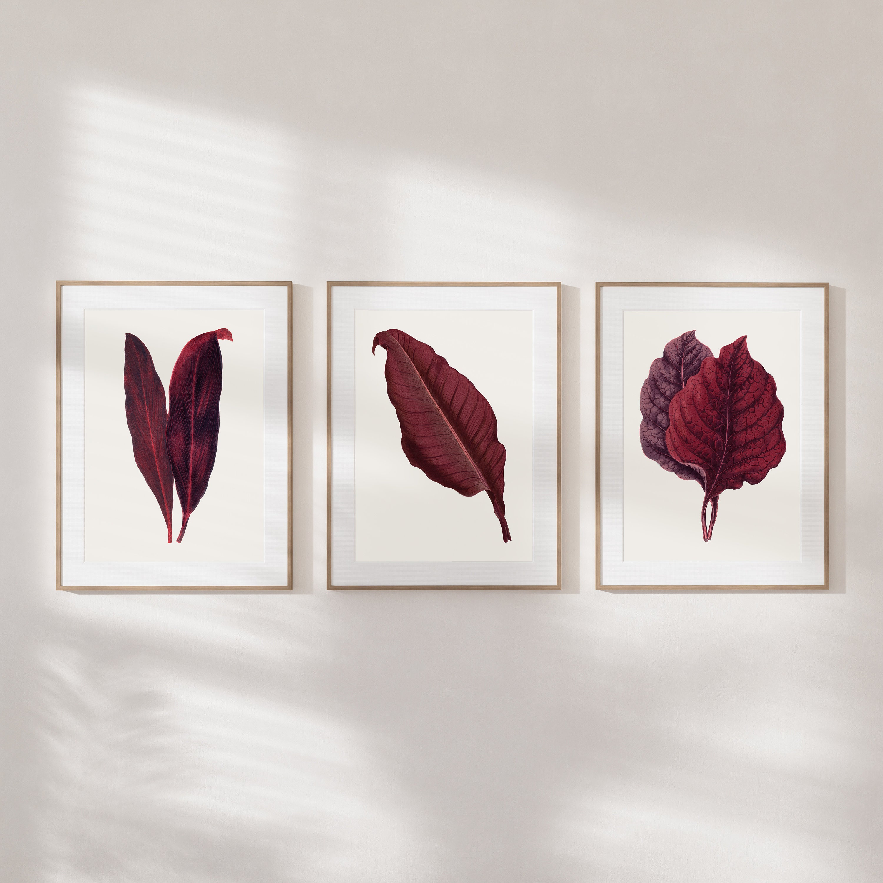 Contemporary Botanical Print Set of 3 ,flower Wall Art,modern Kitchen ...