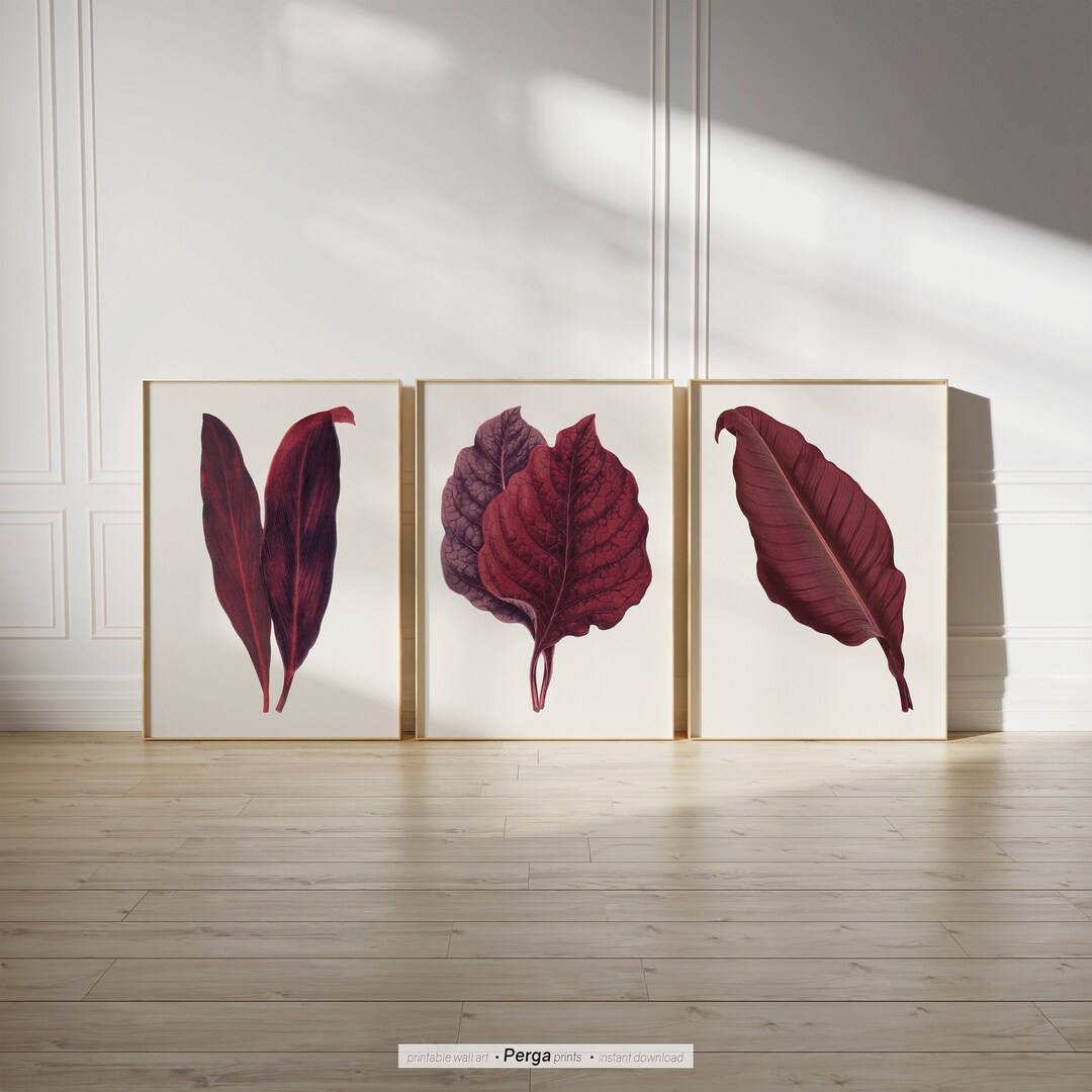 Contemporary Botanical Print Set of 3 ,flower Wall Art,modern Kitchen ...
