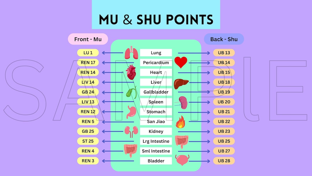 Acupuncture Points Desktop Wall Paper - Front Mu and Back Shu TCM ...