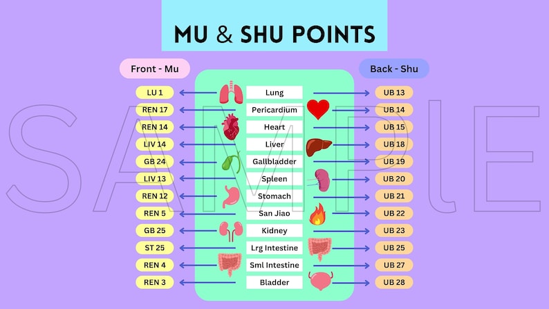Acupuncture Points Desktop Wall Paper - Front Mu and Back Shu TCM ...