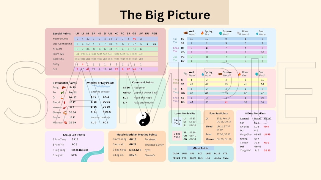 The Big Picture Acupuncture Desktop Wall Paper - TCM Point Category ...