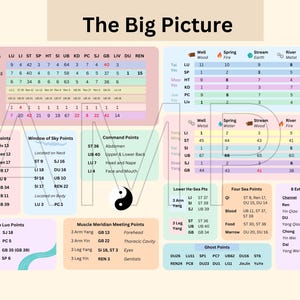 The Big Picture Acupuncture Desktop Wall Paper - TCM Point Category ...