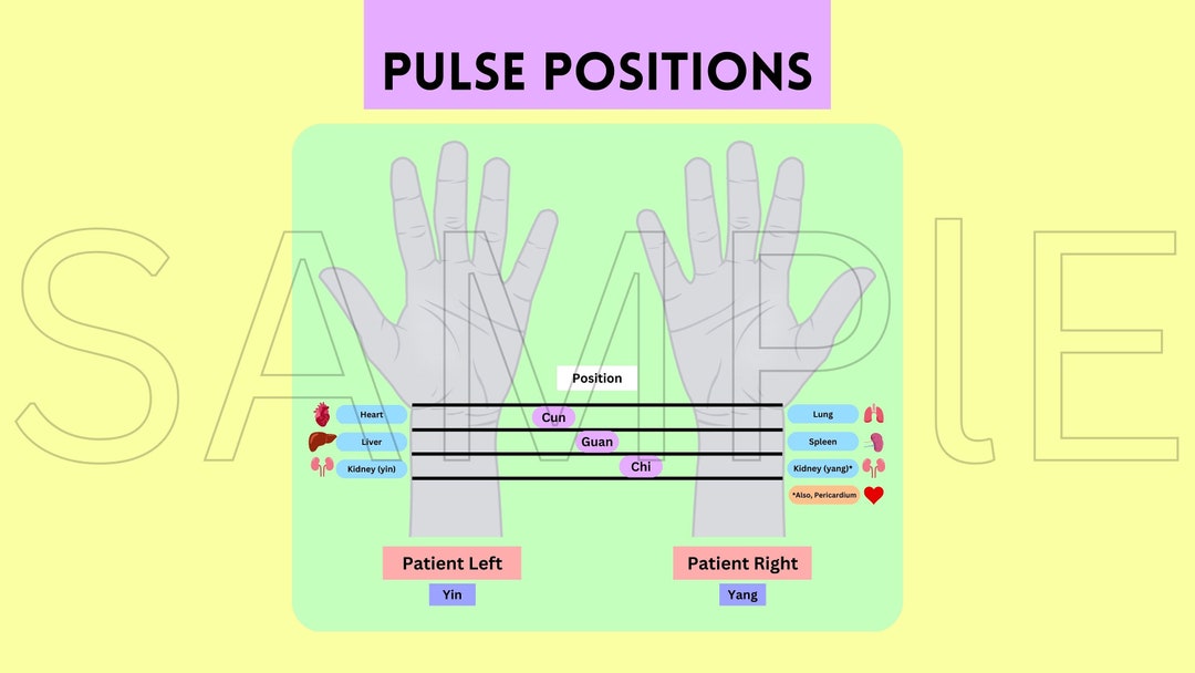 Pulse Positions Desktop Wallpaper - Cun, Guan, and Chi Positions With ...