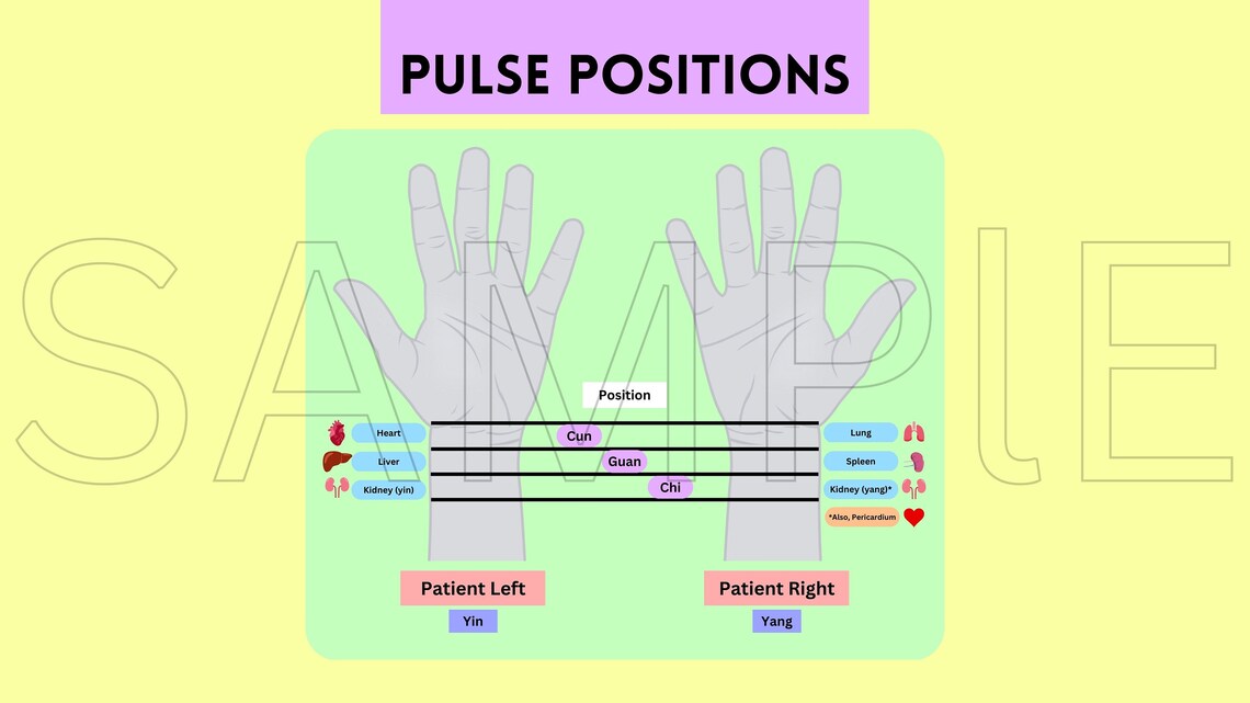 Pulse Positions Desktop Wallpaper - Cun, Guan, and Chi Positions With ...