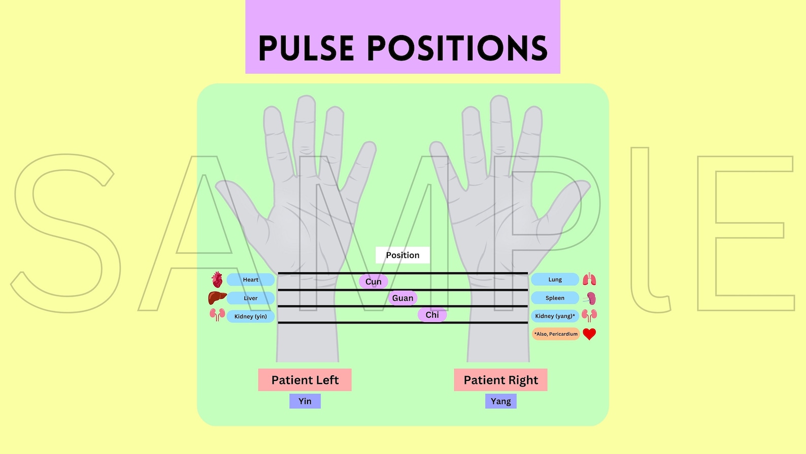 Pulse Positions Desktop Wallpaper - Cun, Guan, and Chi Positions With ...