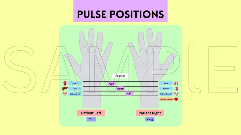 Pulse Positions Desktop Wallpaper - Cun, Guan, and Chi Positions With ...