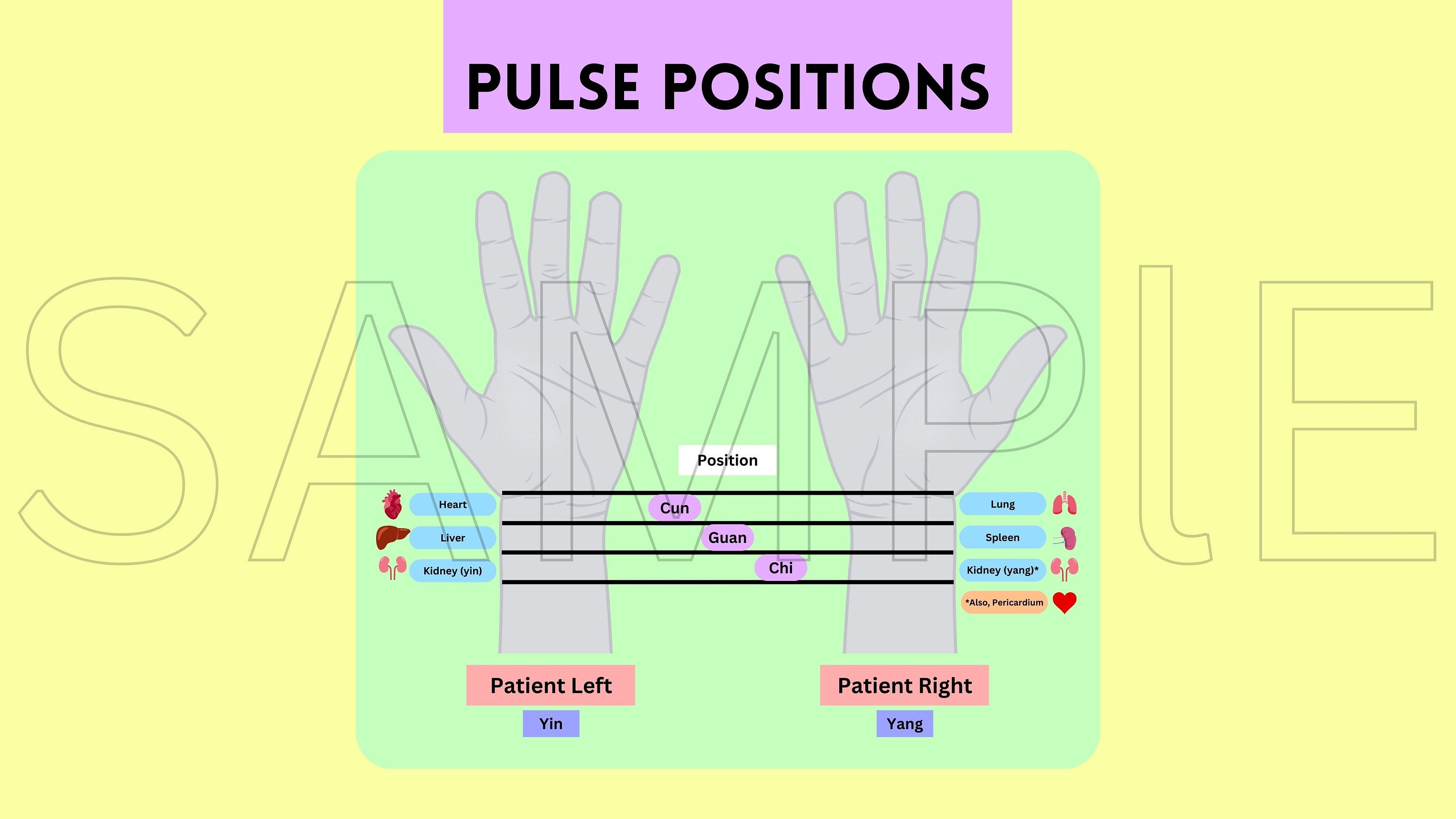 Pulse Positions Desktop Wallpaper - Cun, Guan, and Chi Positions With ...