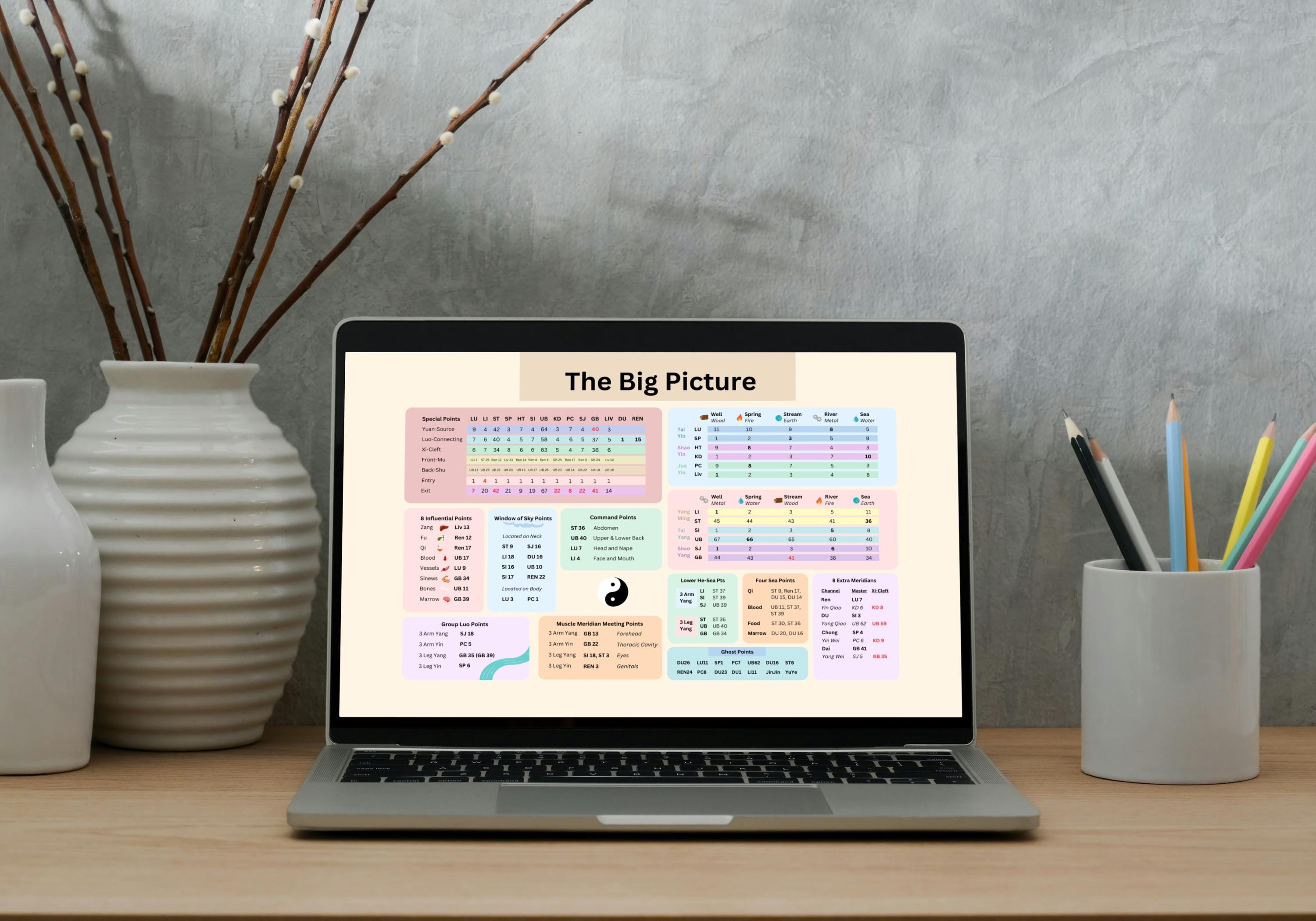 The Big Picture Acupuncture Desktop Wall Paper - TCM Point Category ...