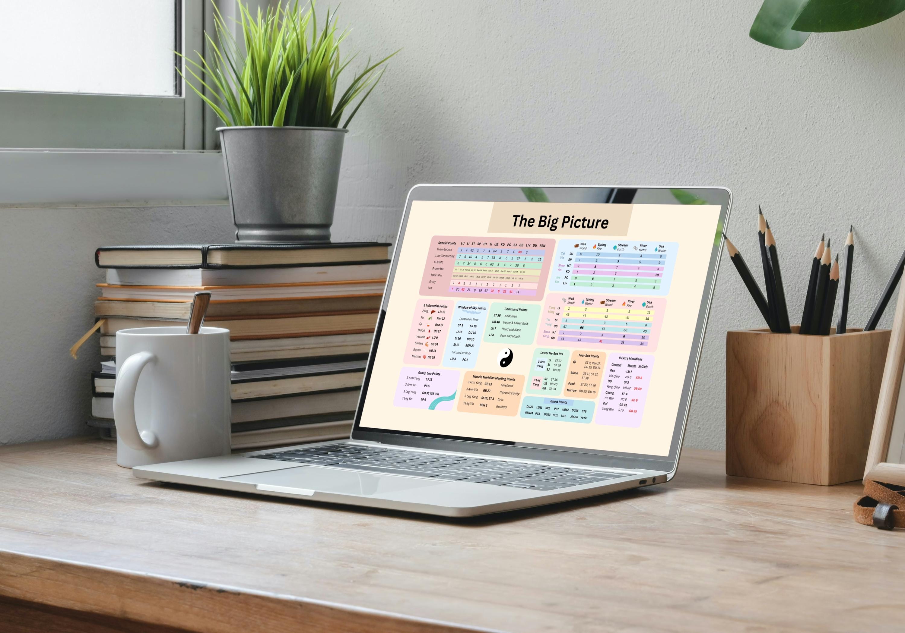 The Big Picture Acupuncture Desktop Wall Paper - TCM Point Category ...