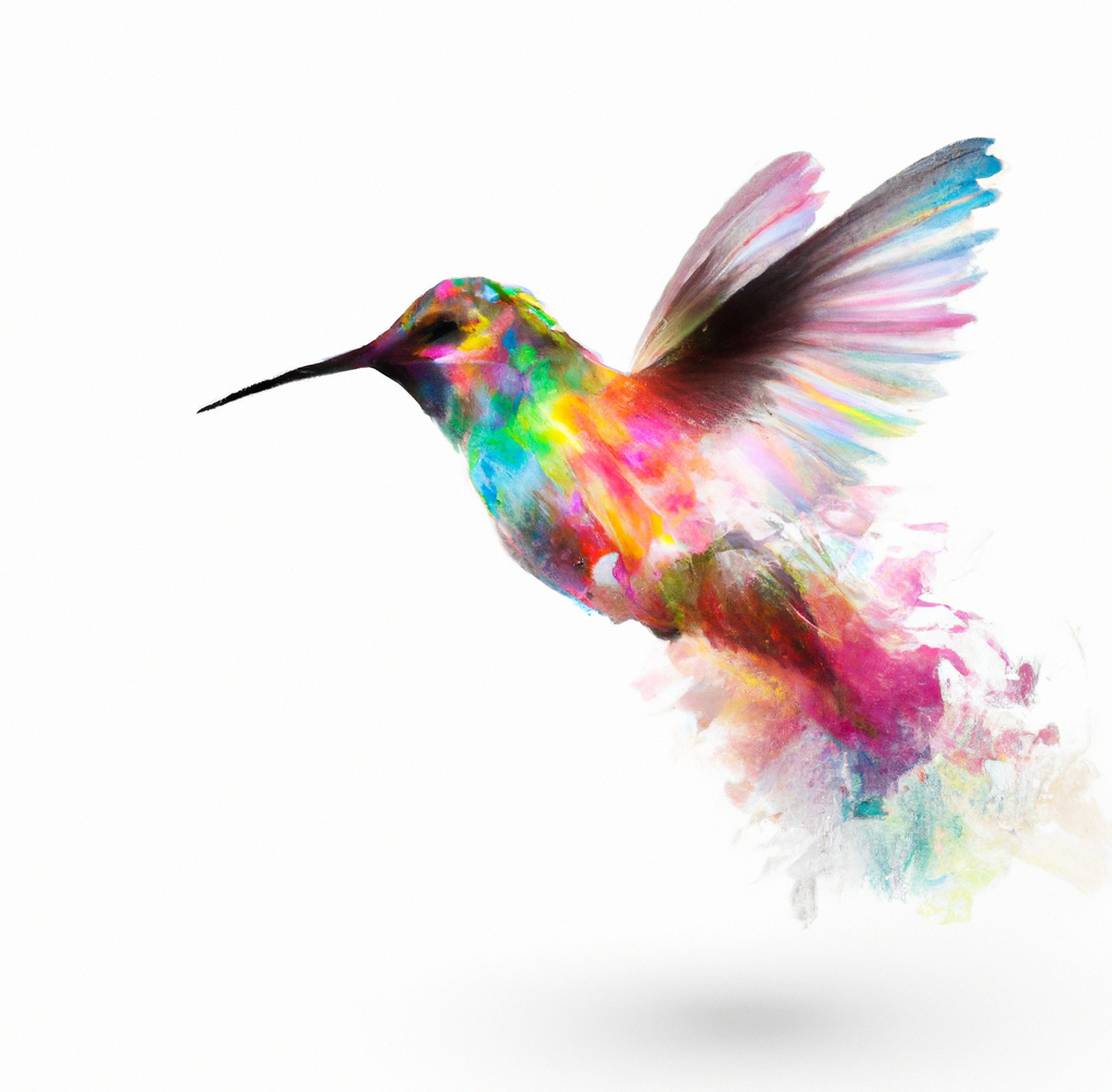 Hummingbird White Background Decorate Digital Art .JPG Format 4000X4000 ...
