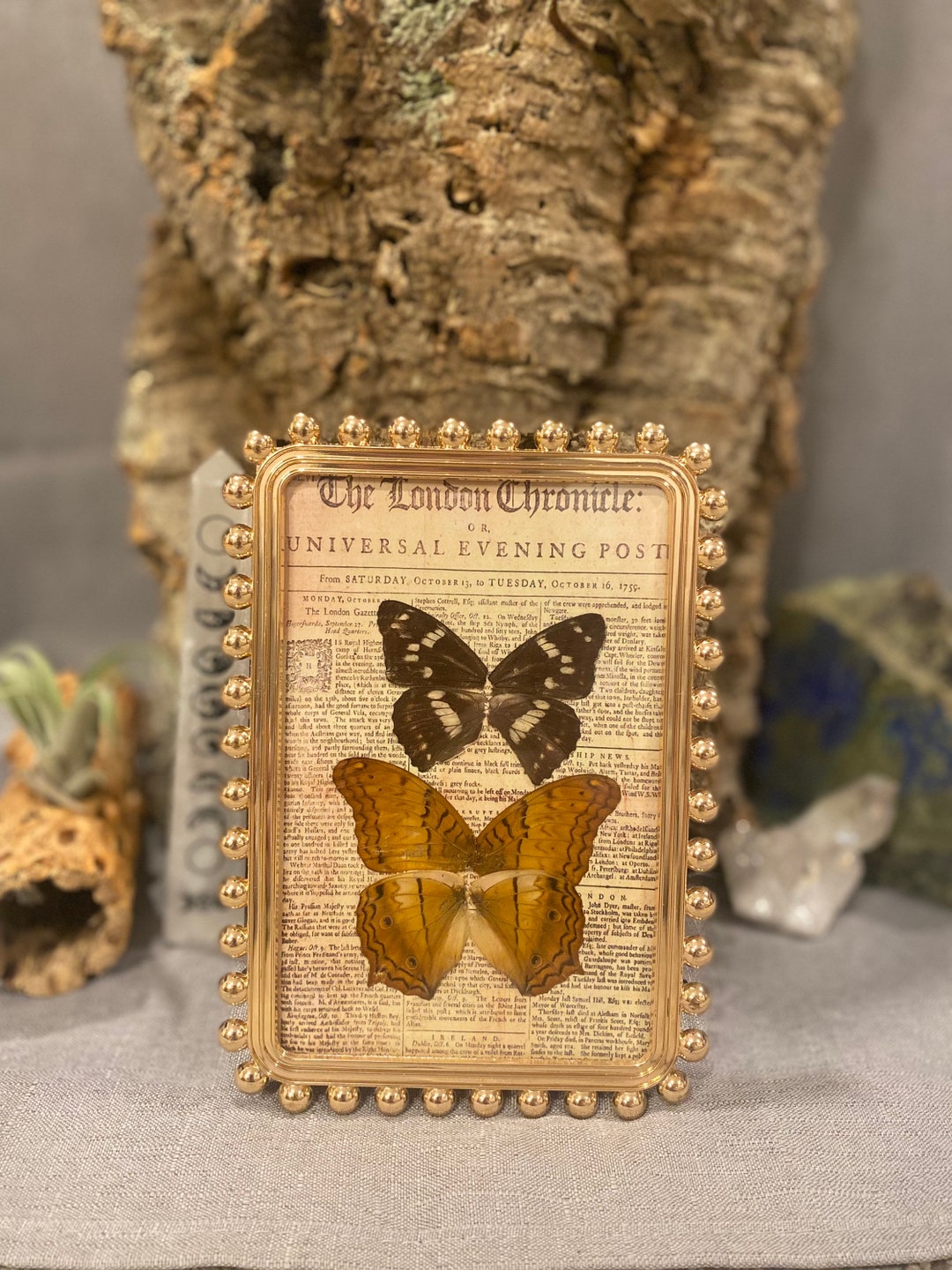 Golden Decorative Frame With Real Butterfly’s - Etsy