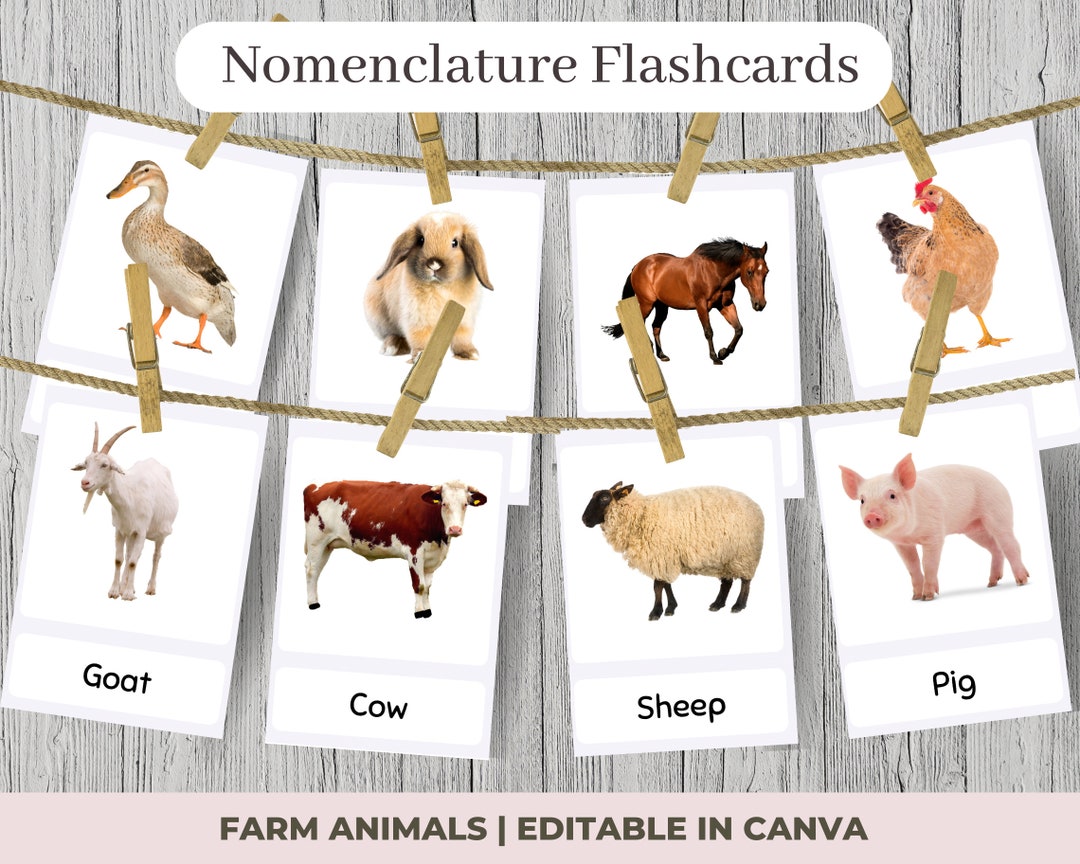 FARM ANIMALS Nomenclature Cards Montessori School Real - Etsy