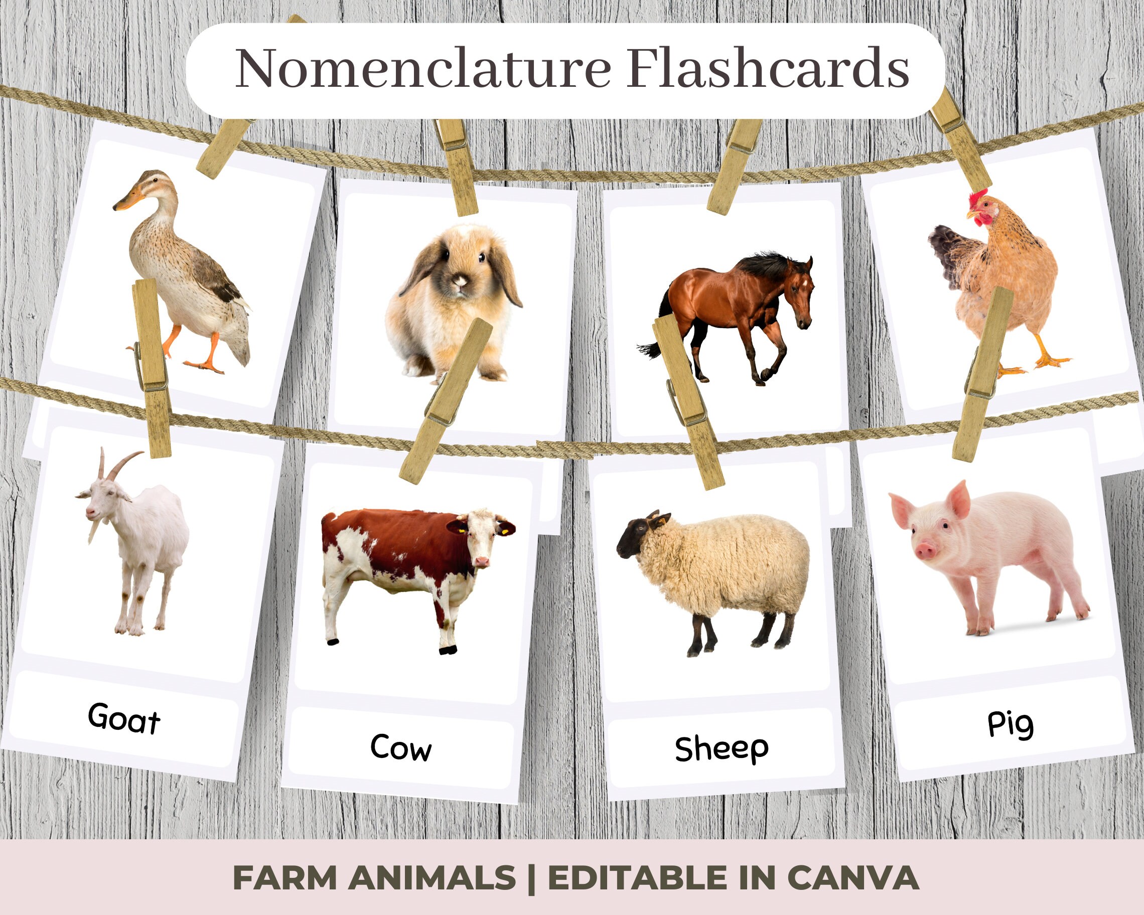 FARM ANIMALS Nomenclature Cards Montessori School Real - Etsy