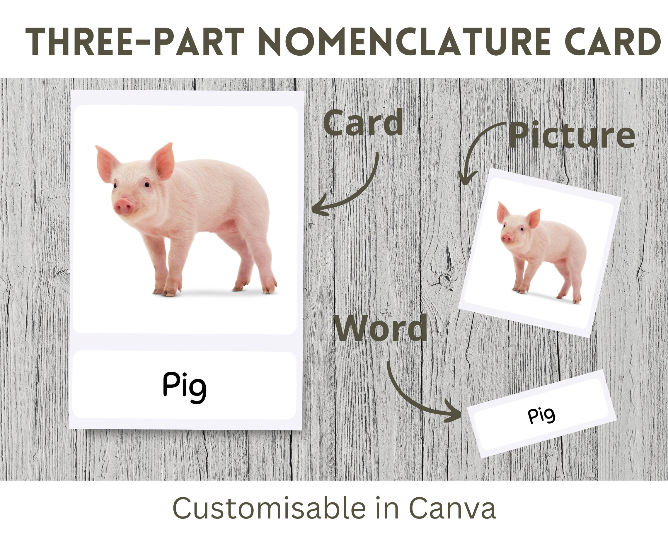 FARM ANIMALS Nomenclature Cards Montessori School Real - Etsy
