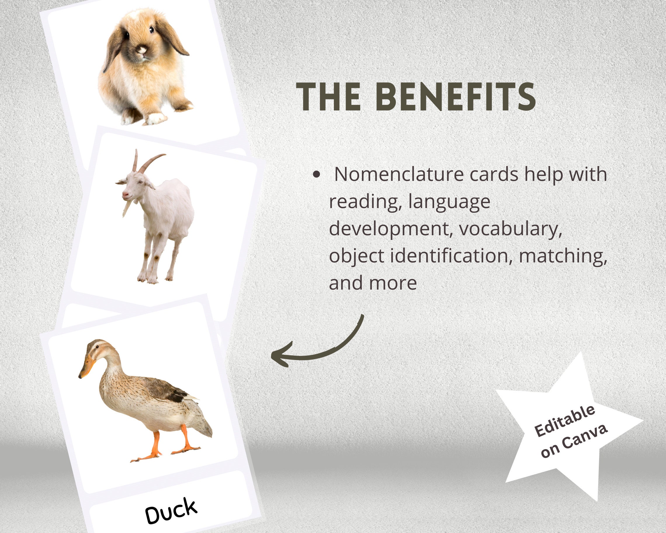 FARM ANIMALS Nomenclature Cards Montessori School Real - Etsy