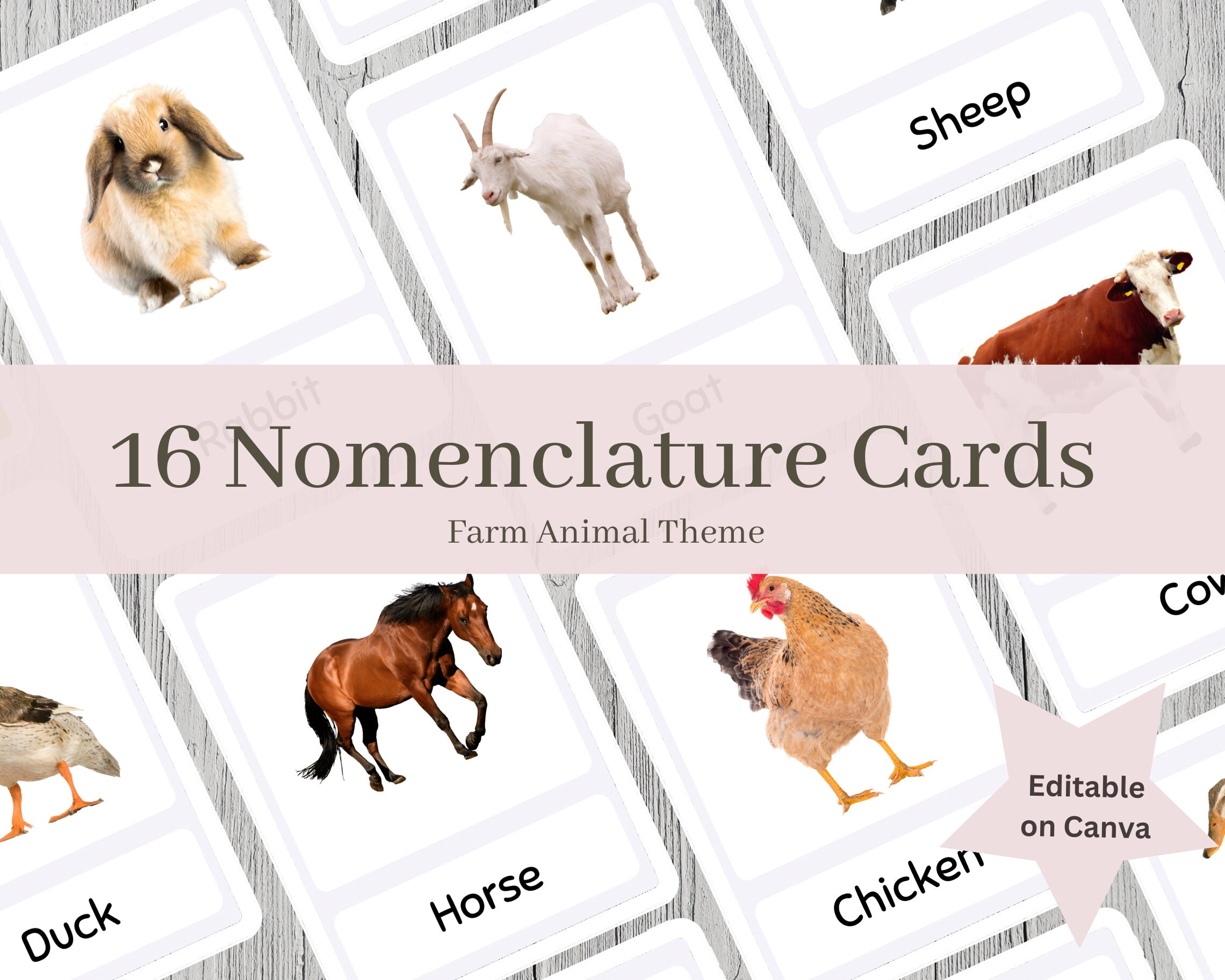 FARM ANIMALS Nomenclature Cards Montessori School Real - Etsy