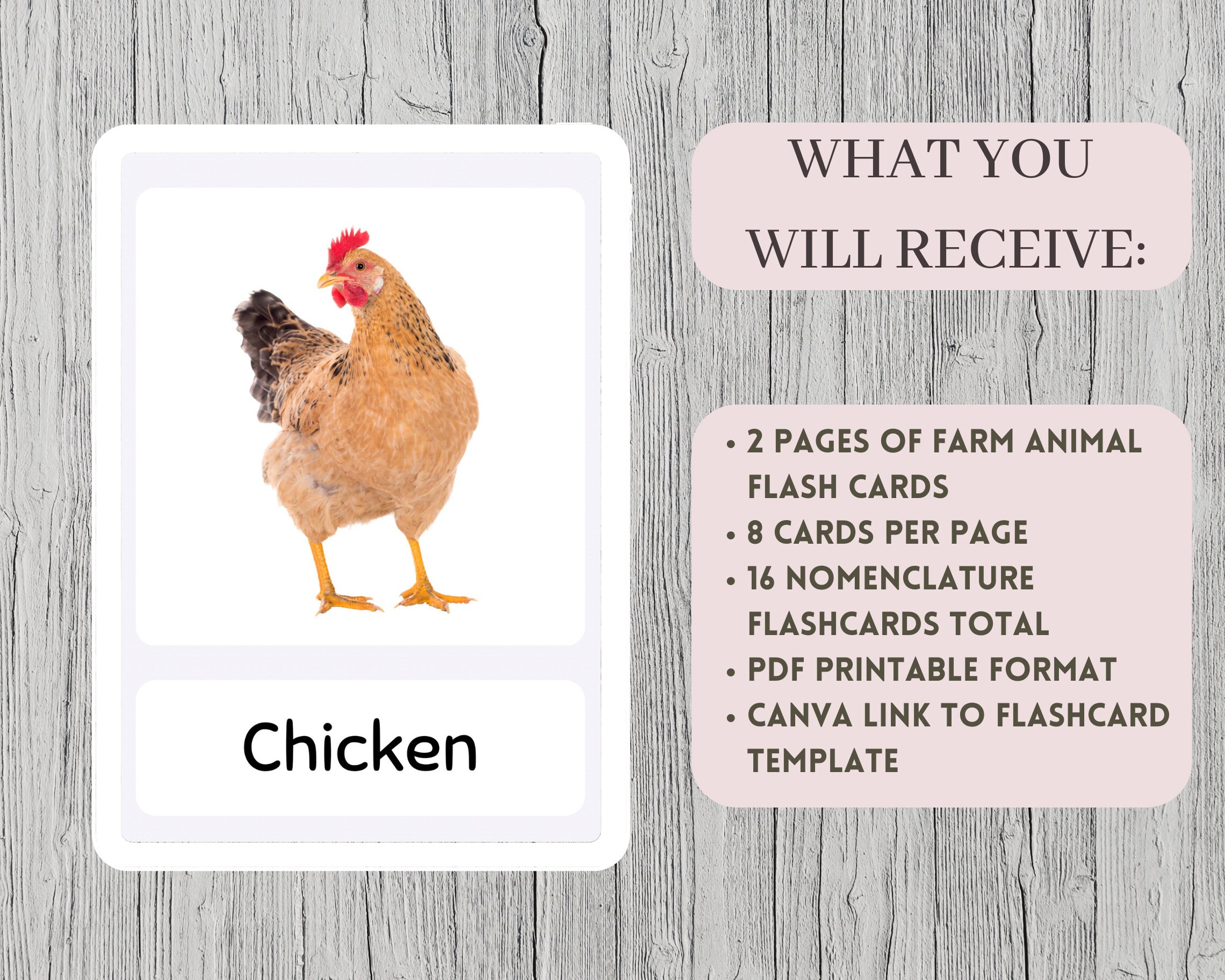 FARM ANIMALS Nomenclature Cards Montessori School Real - Etsy