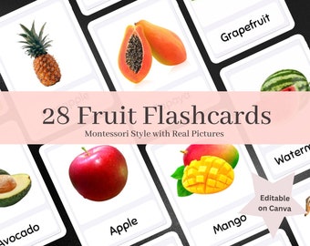 VEHICLES 24 Montessori Cards Flash Cards Nomenclature - Etsy