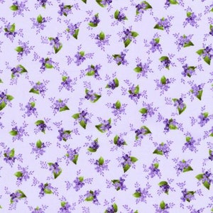 Quilt Kit 70"x82", Rosy Stars Quilt Kit Using Elizabeth Fabrics From ...