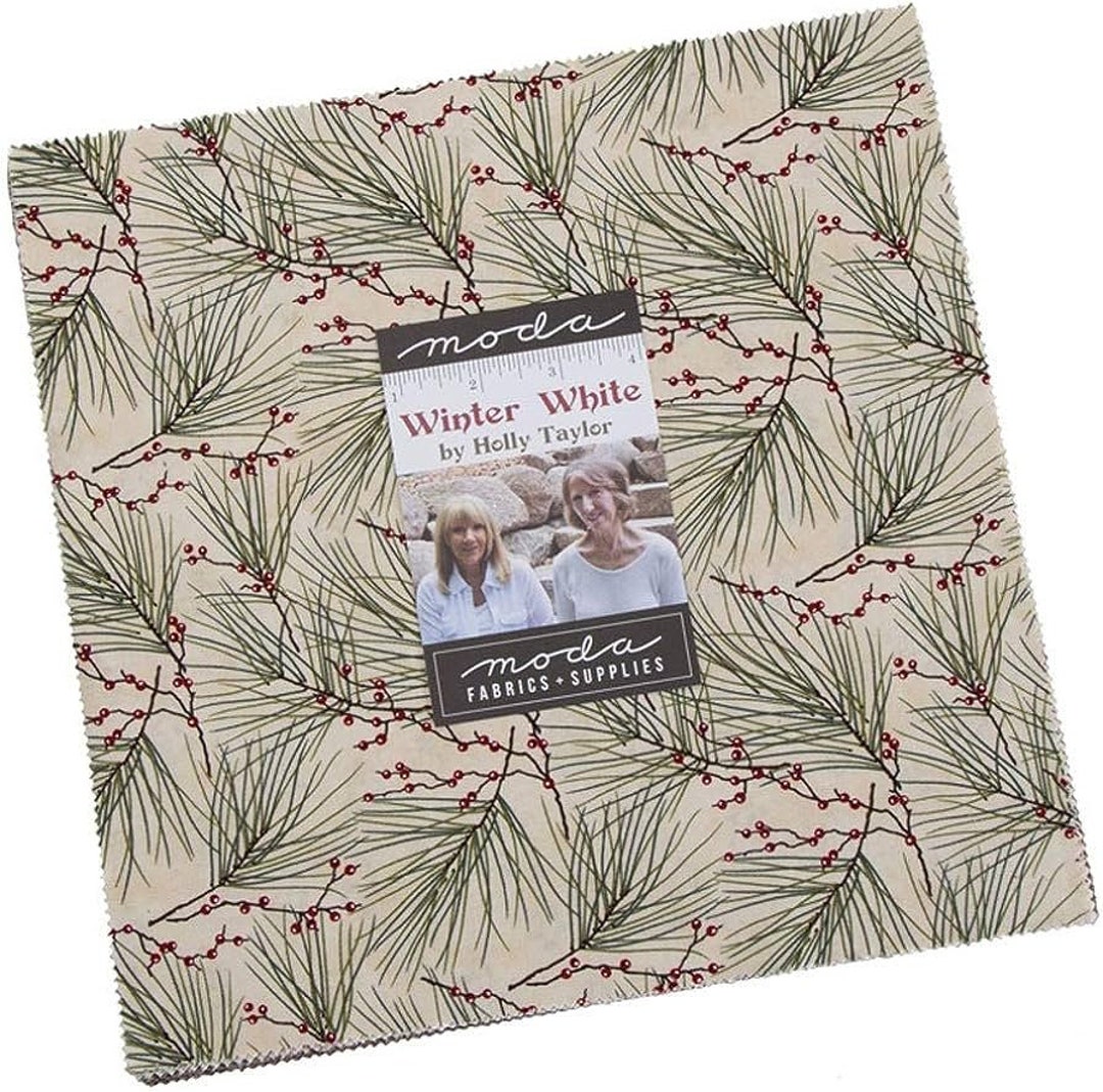 Winter White Layer Cake 10"x10", 6810-LC 40 Precut Ten Inch Pieces ...