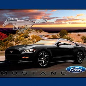 RARE Ford Mustang Fabric Panel 43"x36", Sykel Enterprises Fabric Panel ...