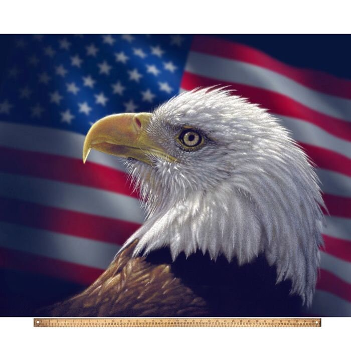 Eagle Flag 2 Fabric Panel 35x44, ML-3312-2C Licensed by David Textiles ...