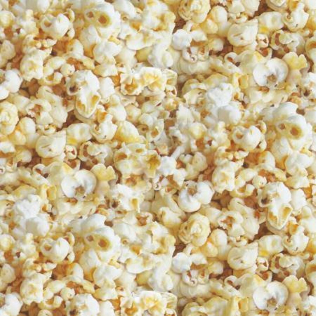 Popcorn Fabric, Sold by the Half Yard, Elizabeth Studios, Food Fabrics ...
