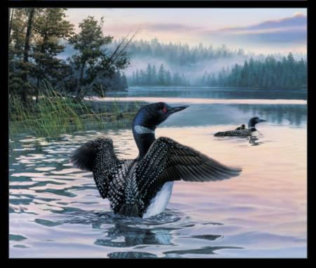 RARE Loon Fabric Panel 43"x36", 8916E Black by Elizabeth's Studios ...