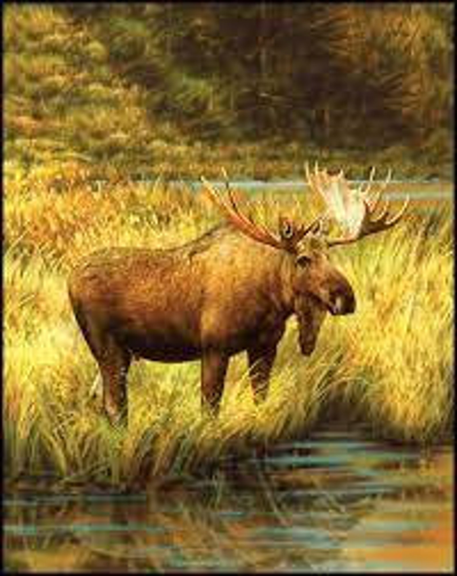 Moose Fabric Panel 36x43 PD6480 Majestic Outdoors - Etsy