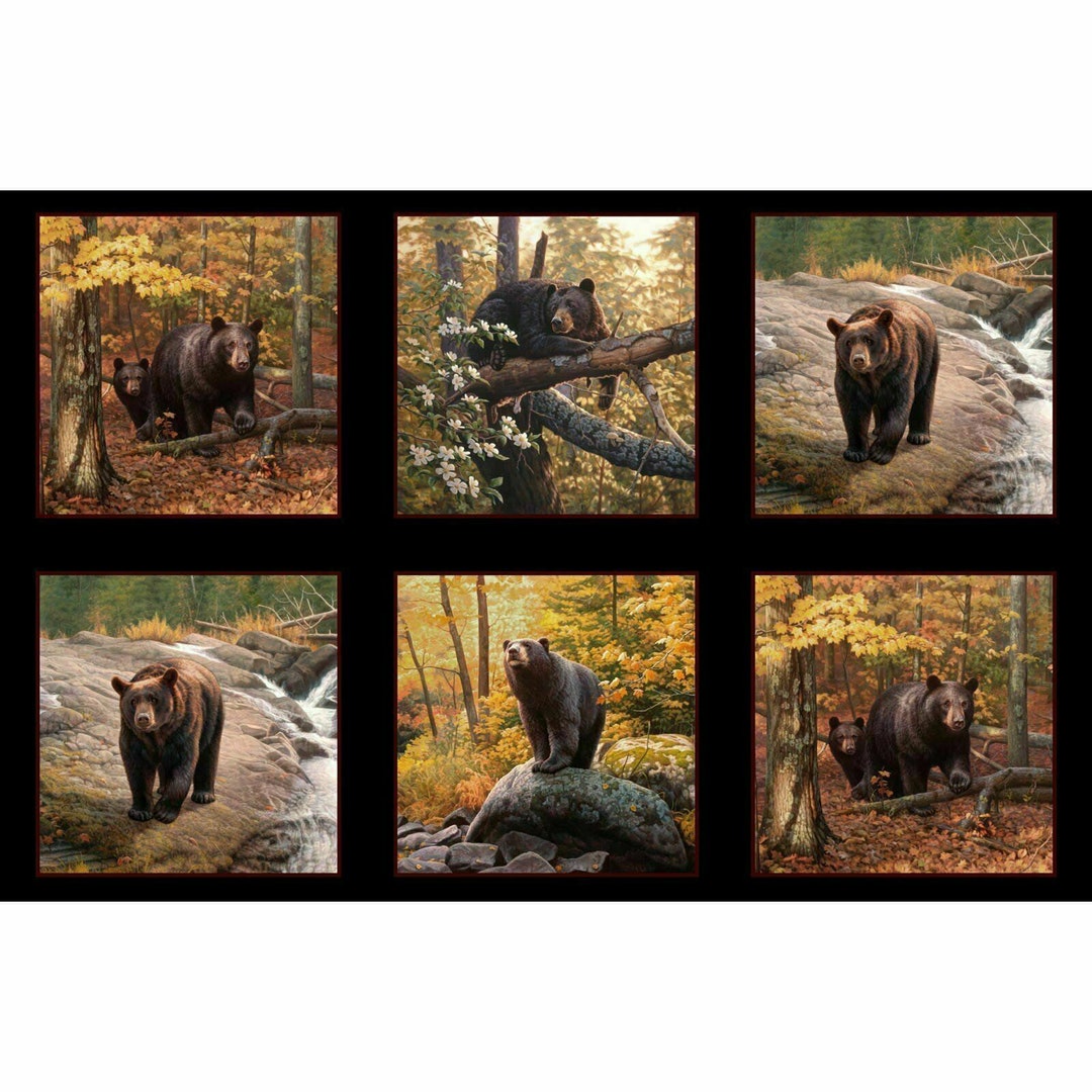 Bear Fabric Panel 43x23, Linus Americanus 9202black by Elizabeth's ...