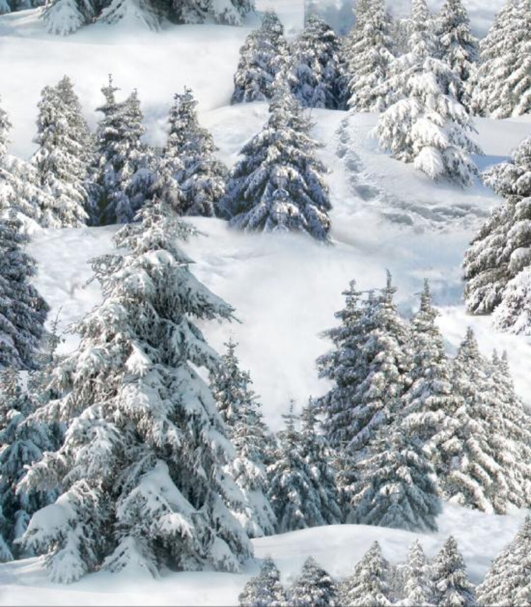 Snowy Forest Fabric 1/2 Yard, #215-white by Elizabeth Studios, Winter ...