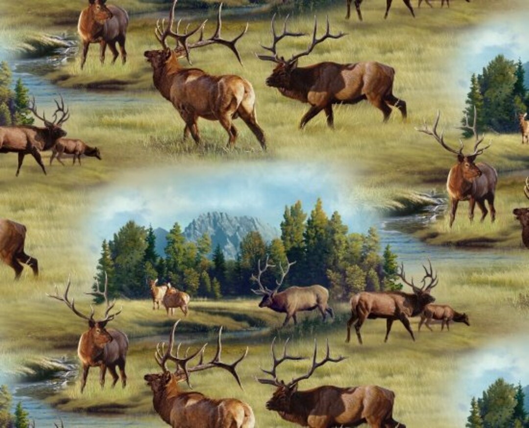 Elk Fabric 1/2 Yard, 5010-green Elk Allover CP51388 by Elizabeth's ...