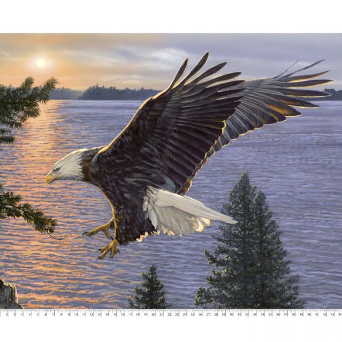 Eagle Fabric Panel 36"x43", Shining Sea Panel by David Textiles, Eagle ...