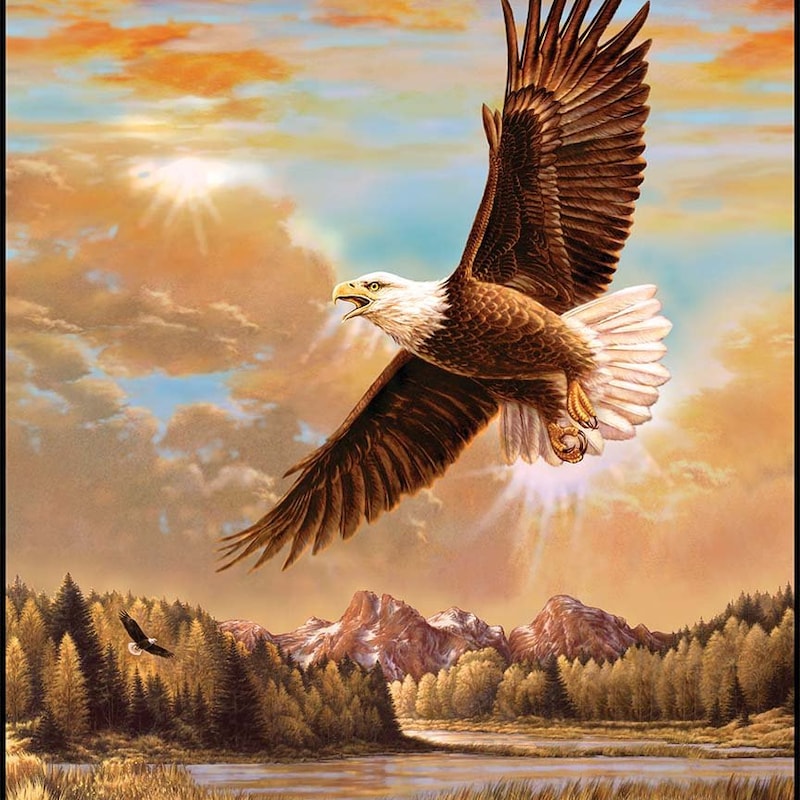 Eagle Fabric Panels - Etsy