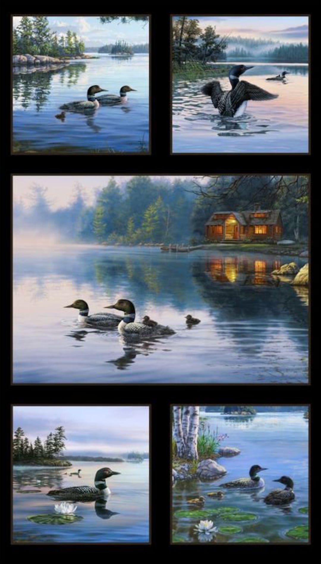 RARE Loon Fabric Panel 24"x44", 8909black by Elizabeth's Studios, Loon ...