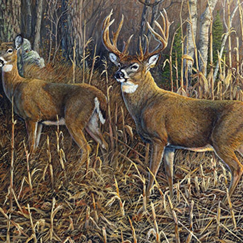 Deer Panel Fabric - Etsy