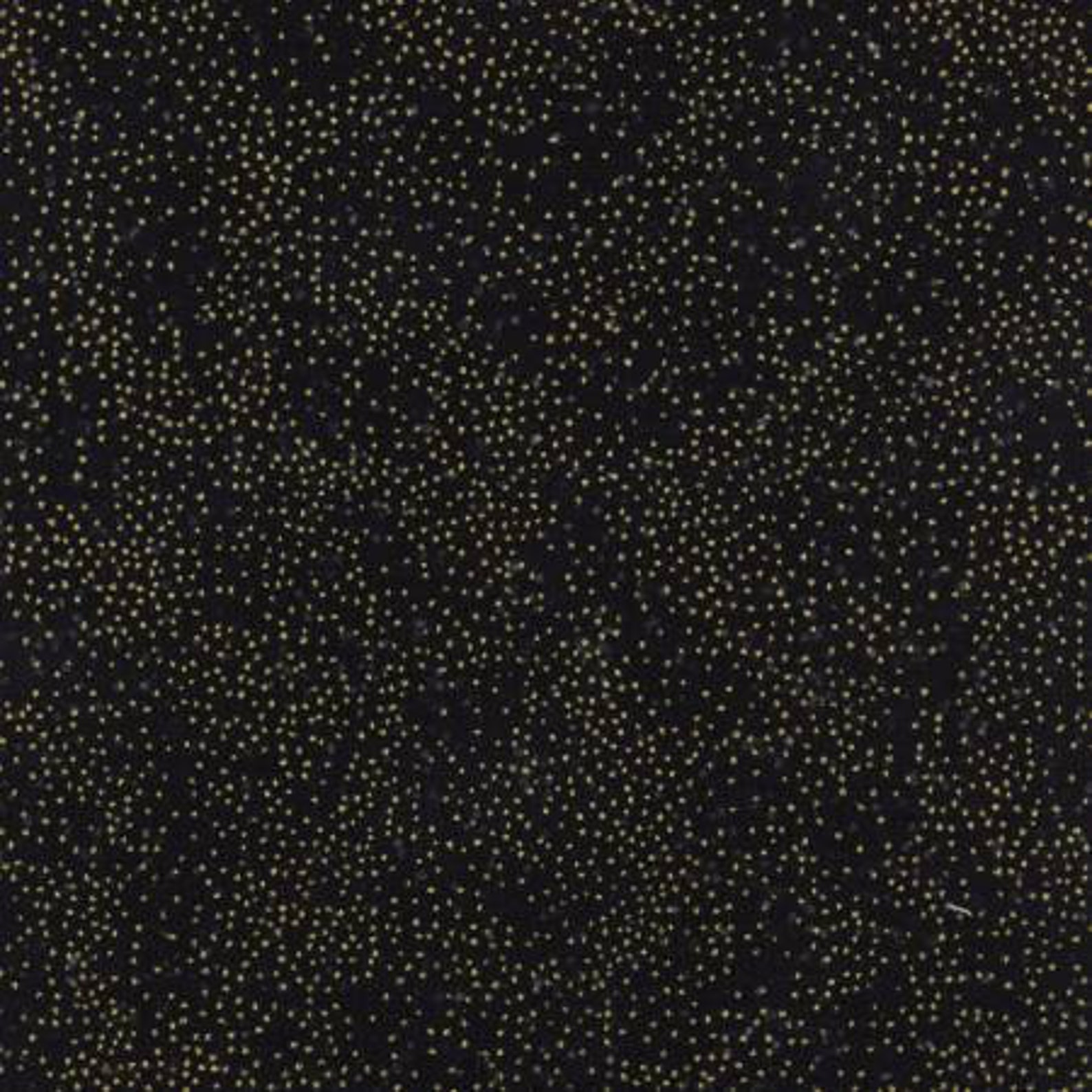 Onyx and Gold Metallic Dots G8555-4G, Black With Gold Dots, Christmas ...