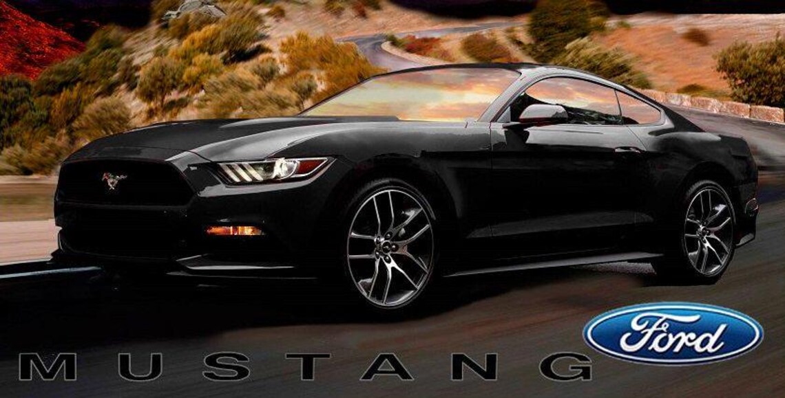 RARE Ford Mustang Fabric Panel 43"x36", Sykel Enterprises Fabric Panel ...