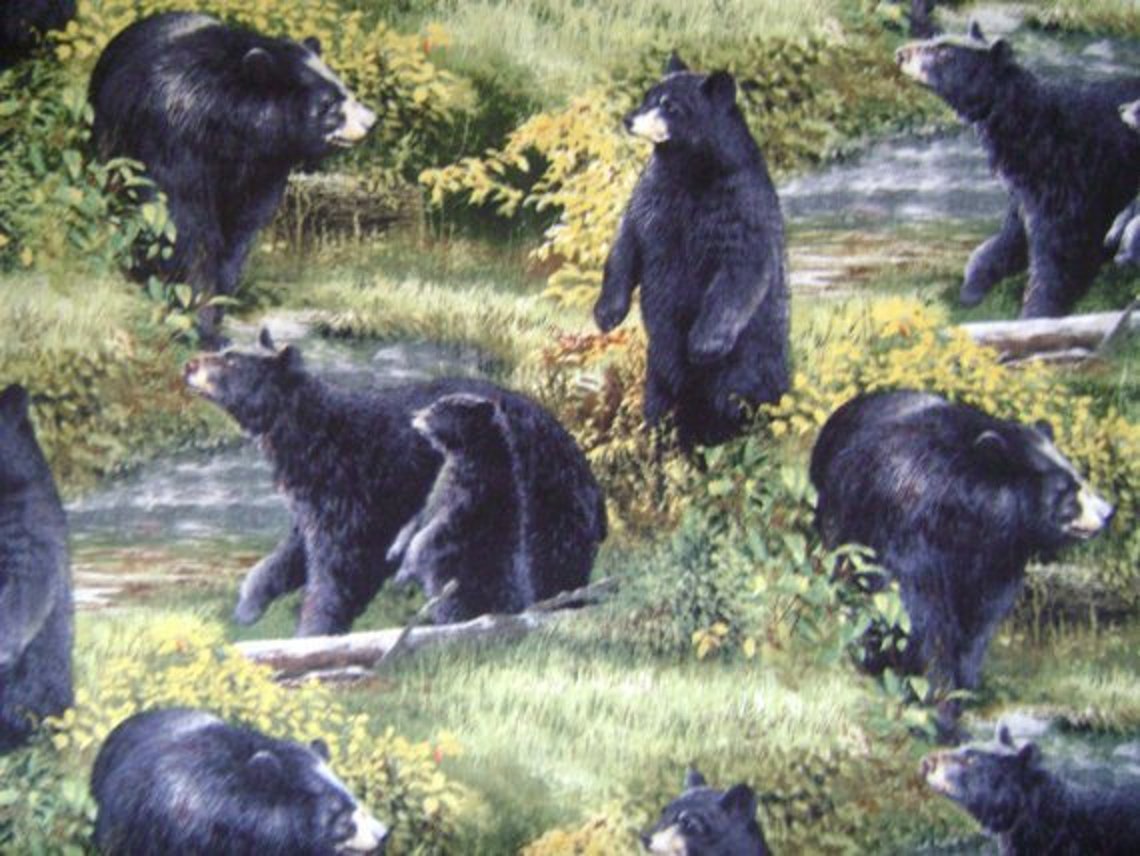 Black Bear Fabric 1/2 Yard CP59986 Basic Black Scenic by Wild - Etsy
